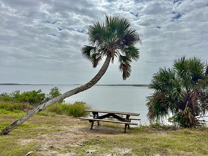 A lone palm tree and picnic table create the most Florida scene imaginable, minus the tourists and plus about a thousand years of history.