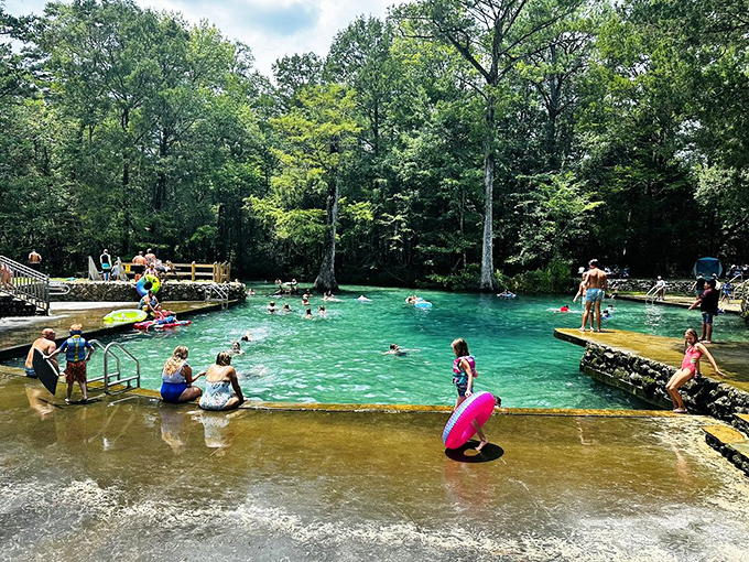Summer joy in full swing as families cool off in the spring's perfect 68-degree waters, a refreshing escape from Florida's heat.