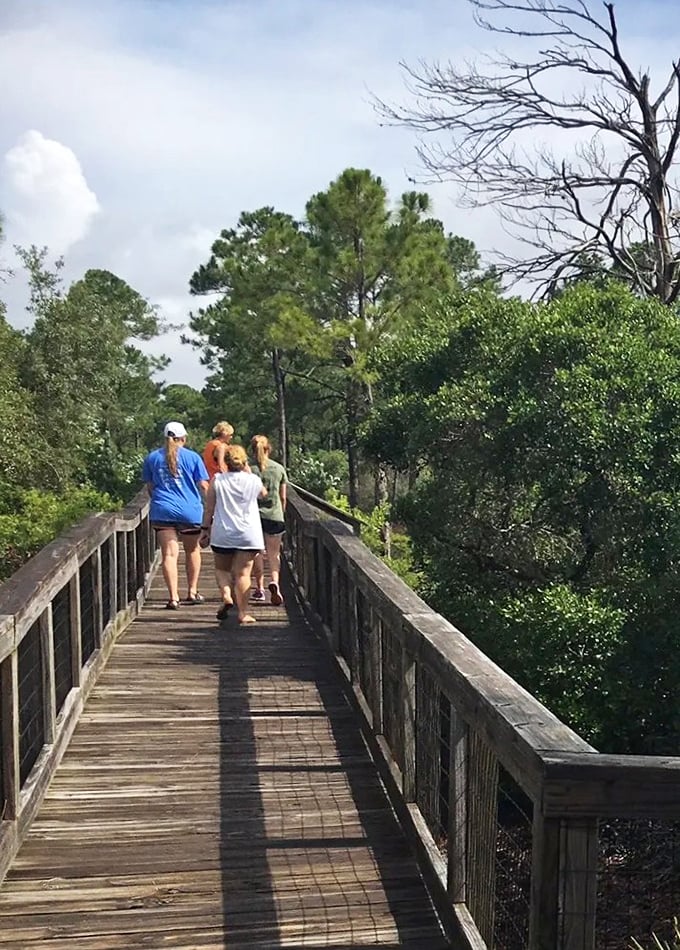 Fellow adventurers traverse wooden walkways through Tate's Hell, proving you don't need wings to float above a cypress swamp.