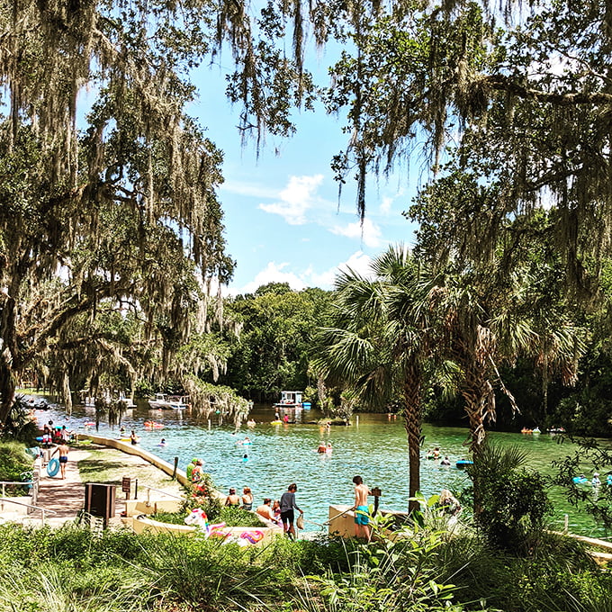 Visitors enjoy the perfect 72-degree waters while Spanish moss creates nature's own cabanas overhead.