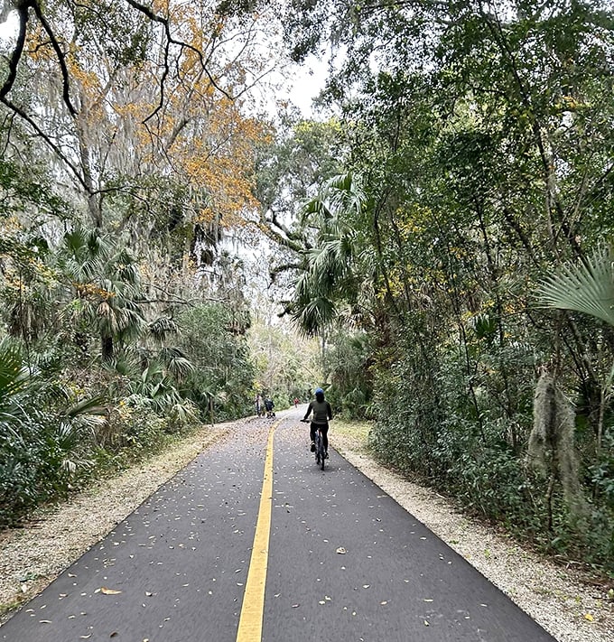 Cyclists find their rhythm on smooth asphalt, where exercise feels more like meditation with scenery.