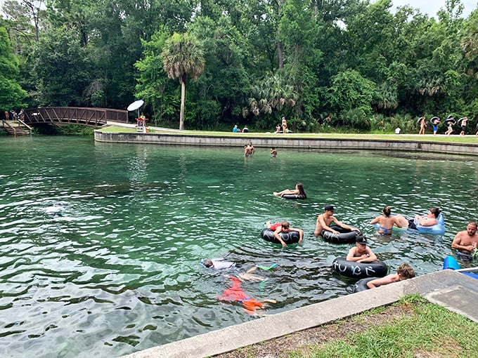 Swimmers and tubers drift through the refreshing 68-degree waters, nature's air conditioning in the Florida heat.