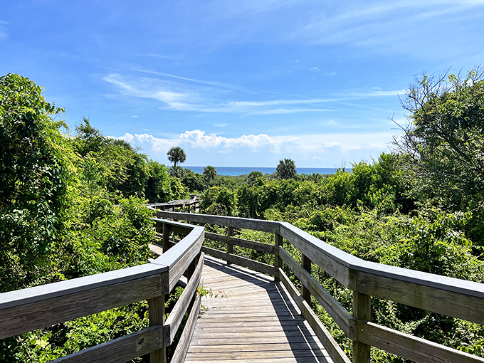 This winding boardwalk through lush coastal vegetation feels like stepping into Florida's past, minus the mosquito-slapping pioneers.