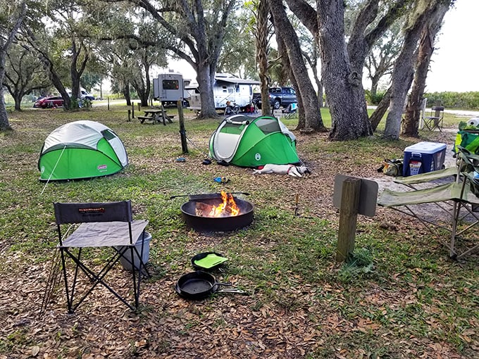 Campfire stories hit differently under a blanket of stars. These green tents provide front-row seats to nature's greatest light show.