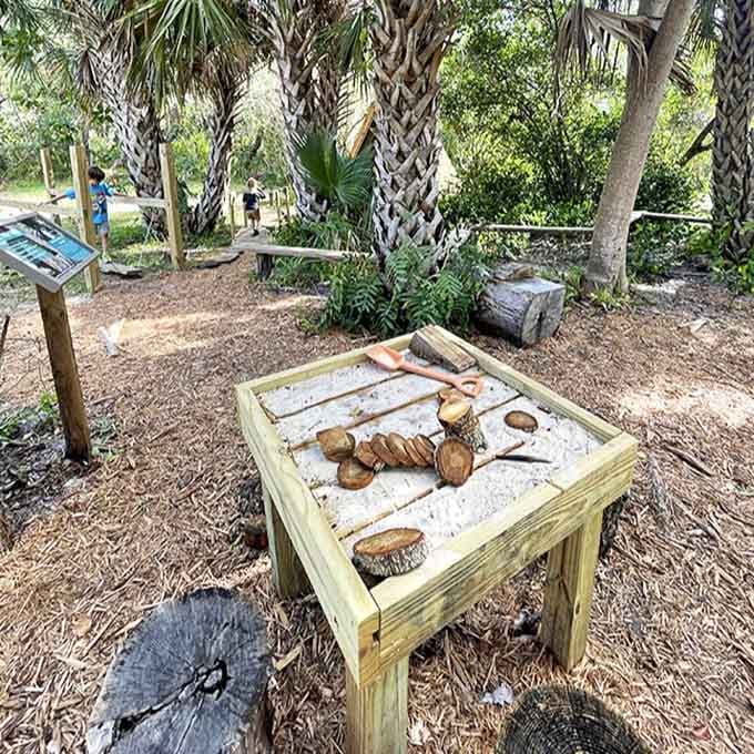Interactive learning stations turn curious kids into junior scientists, complete with fossils and shells that tell stories millions of years old.