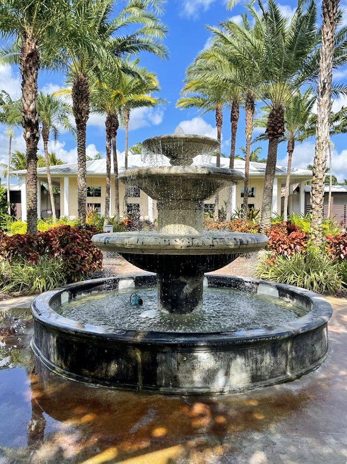 Elegant fountains surrounded by royal palms create picture-perfect moments throughout the property.