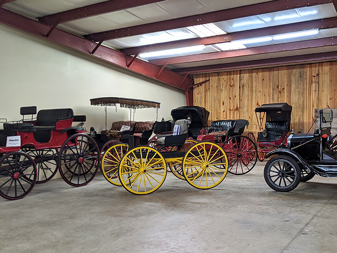Not your average Uber! These meticulously preserved horse-drawn carriages remind us that "horsepower" once meant exactly that&mdash;actual horses providing the power.