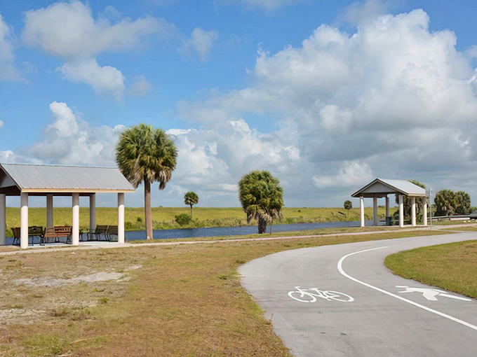 The park's paved pathway invites leisurely strolls where every turn offers a new postcard-worthy view.