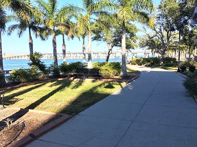 This paved pathway isn't just a sidewalk &ndash; it's life's runway where joggers, strollers, and daydreamers all share the spotlight.