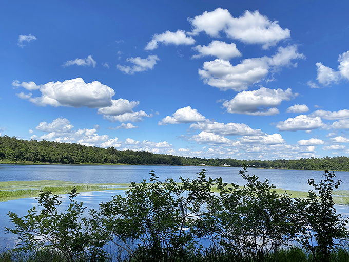 Lake Hall stretches toward the horizon like nature's infinity pool, its surface rippling gently under Florida's impossibly blue sky.