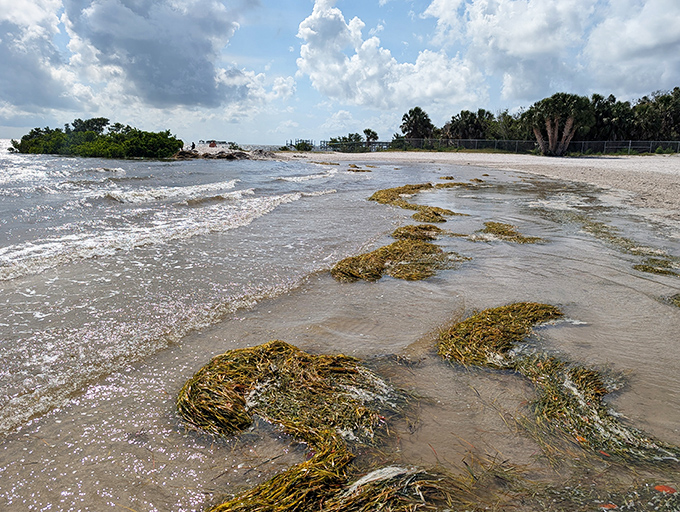 Nature's beach decoration committee at work&mdash;seaweed that reminds you this isn't a manufactured experience but a genuine slice of Gulf Coast reality.