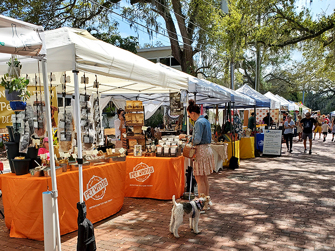 Vendors transform simple tent spaces into inviting storefronts, each one a chapter in Safety Harbor's weekly story of local entrepreneurship.