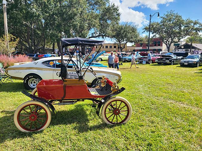This vintage Model T steals the show during car exhibitions, its gleaming red finish contrasting beautifully with the lush green surroundings.