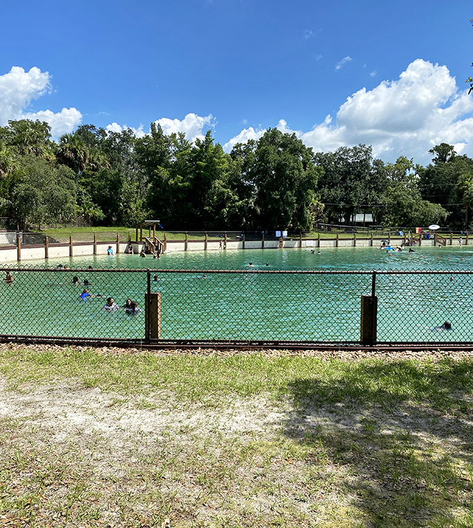 Visitors discover the simple joy of swimming, where every step brings a new perspective on these refreshing waters.