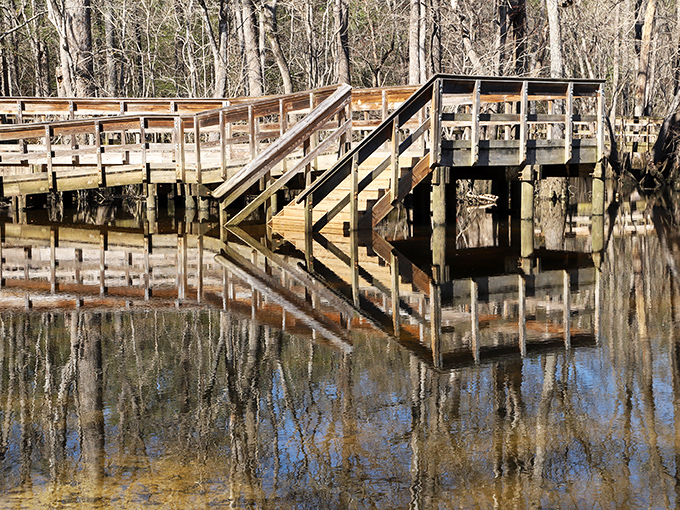 The wooden boardwalk offers spectacular vantage points, inviting even non-swimmers to experience the spring's mesmerizing beauty from above.