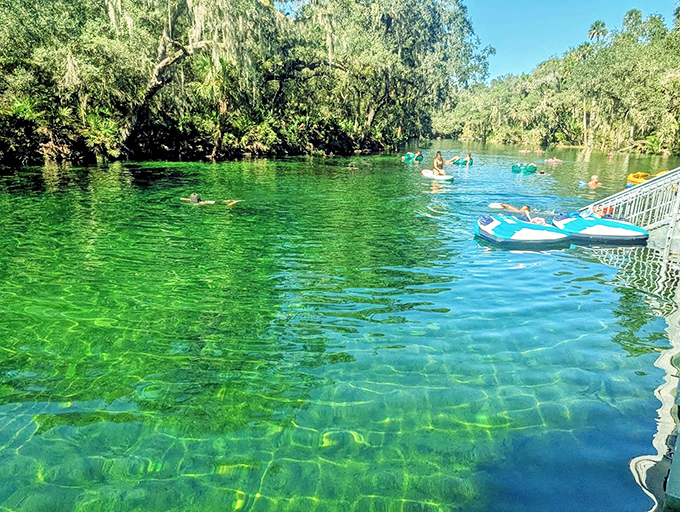 Blue Spring's waters shimmer with an otherworldly turquoise glow, inviting visitors to float above its mysterious depths.