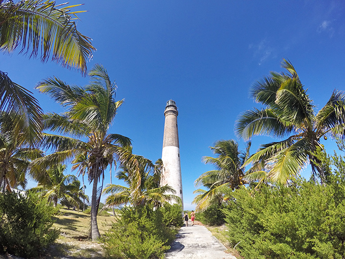 Dry Tortugas Light rises like a white needle from paradise, surrounded by palm trees and the most impossibly blue waters you've ever seen.