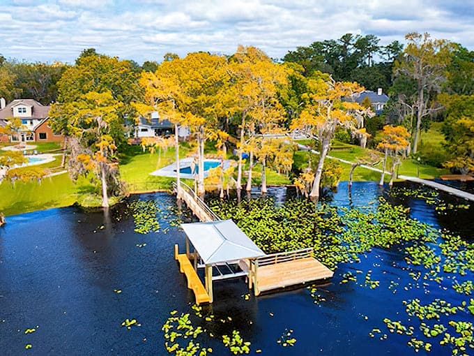 Autumn colors reflecting on peaceful ponds remind us that even Florida gets seasonal beauty, just with better weather year-round.