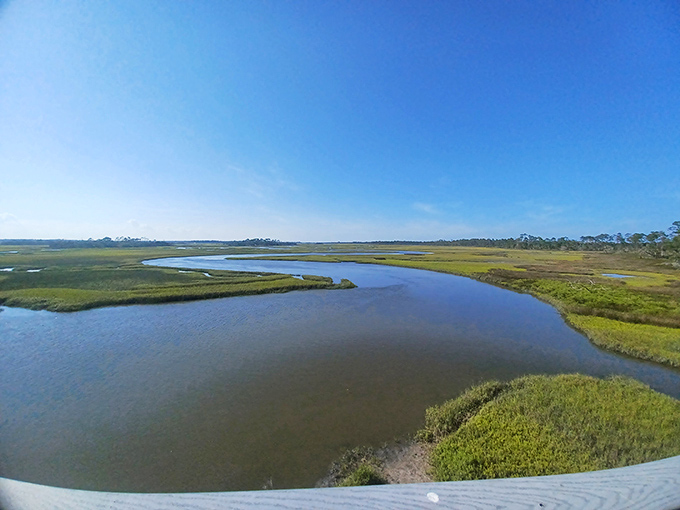 Guana River's marshlands stretch toward the horizon, a golden-green tapestry where birds wade and fish jump in nature's perfect rhythm.