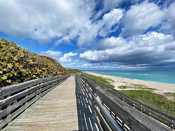 A wooden boardwalk winds through the wetlands at John D. MacArthur Beach State Park, where birds and wildlife thrive in protected habitats.