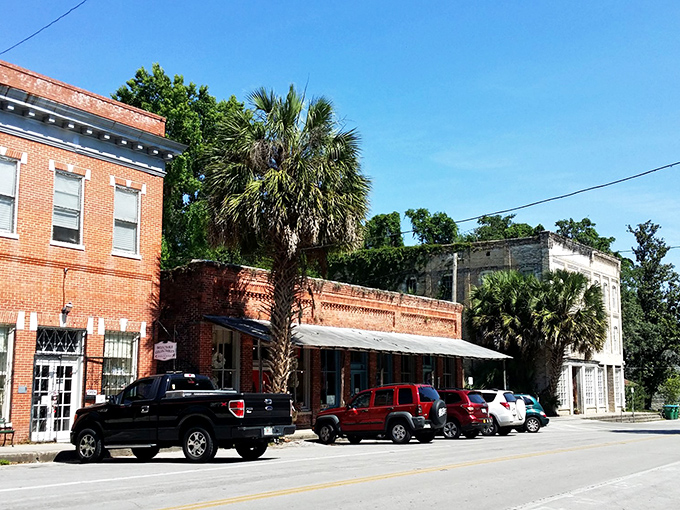 Brick-and-mortar time capsule! Micanopy's historic storefronts have witnessed more small-town drama than a season of Andy Griffith's Mayberry.