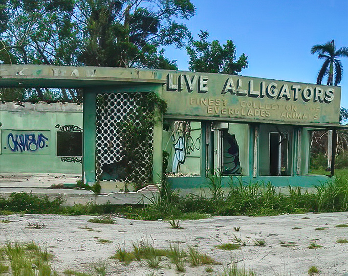Empty windows and peeling paint tell the story of this abandoned alligator attraction, where tourists once gawked at Florida's toothy ambassadors.
