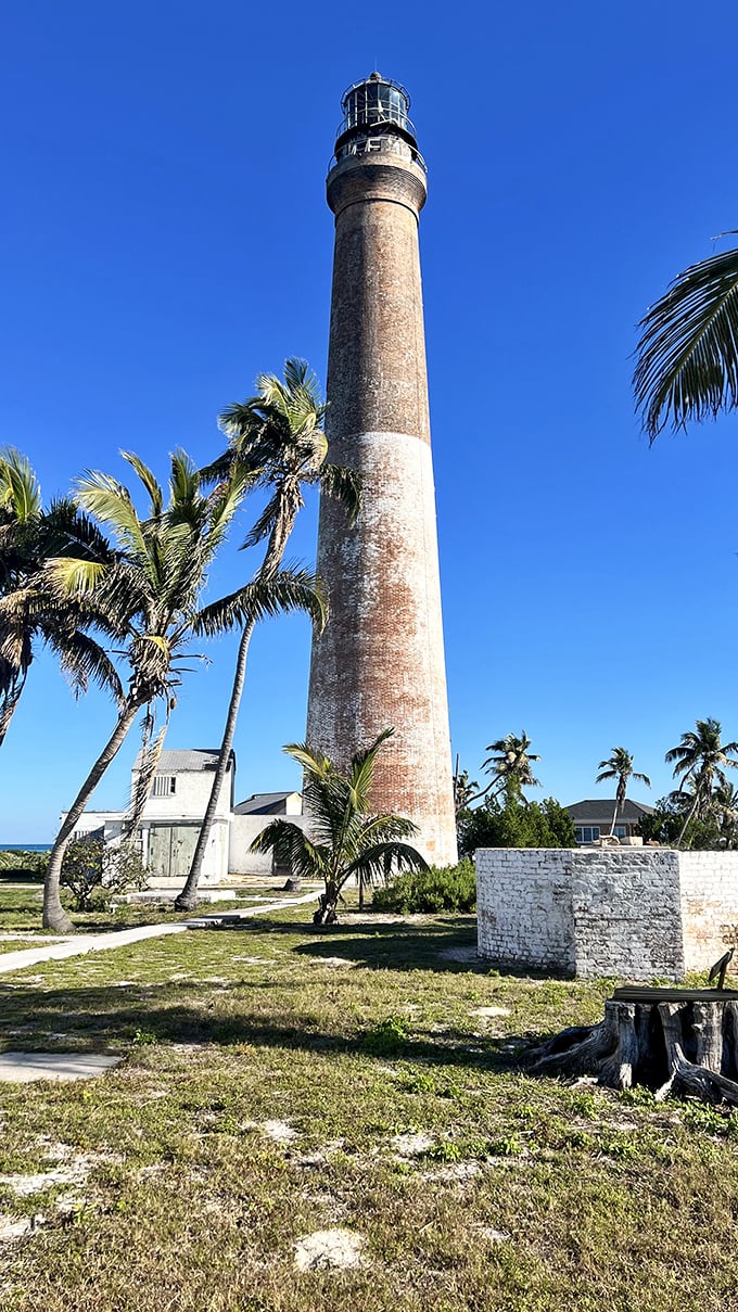 A closer view of Dry Tortugas Light reveals its simple yet elegant design, standing tall amidst a tropical paradise that feels worlds away from everyday life.