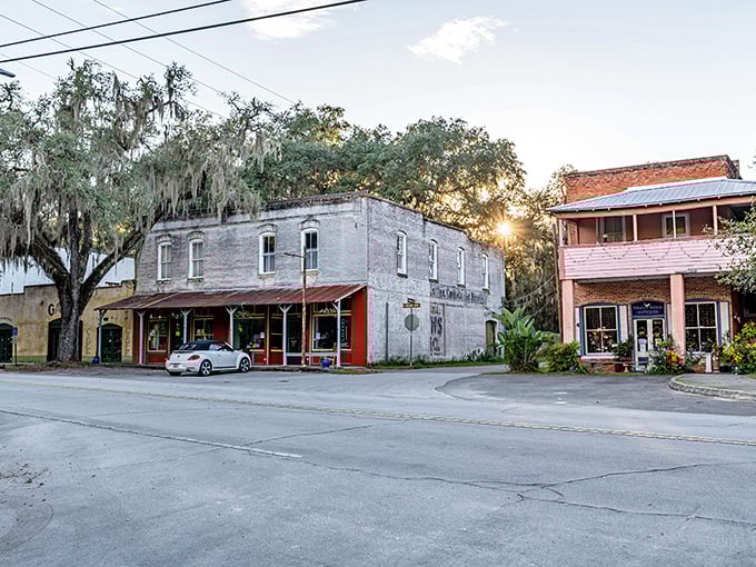 Sunset on simplicity! These weathered buildings glow like treasures at golden hour, Spanish moss providing nature's own theater curtains.