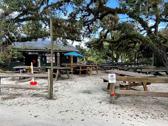 Picnic tables wait under ancient oaks at Snook Haven, where every meal feels like a family reunion you actually want to attend.