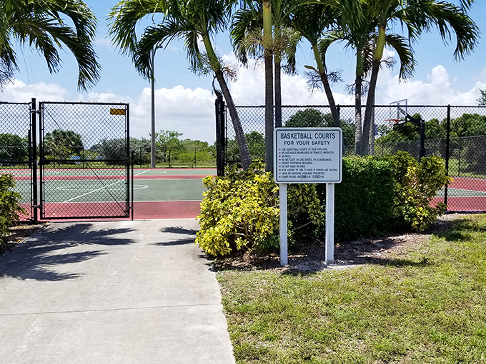 Game on! These well-maintained courts invite friendly competition and pickup games, with just enough shade to prevent spontaneous combustion.