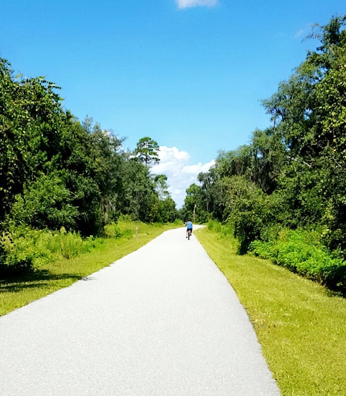 Biking through this green cathedral of palms and pines &ndash; cheaper than therapy and twice as effective.