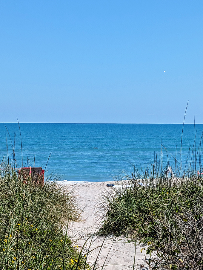 Morning calm settles over the water, creating a mirror-like surface that reflects both sky and possibility.