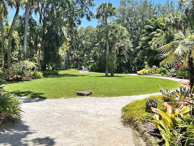 A perfect emerald carpet surrounded by tropical abundance &ndash; nature's version of a town square where the only traffic is butterflies.
