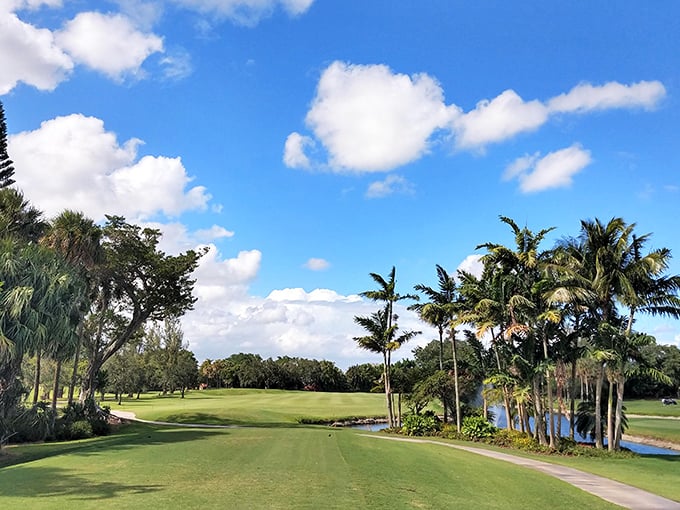 Deer Creek Golf Club offers emerald fairways bordered by palm trees &ndash; where even a terrible golf swing looks good against this backdrop.