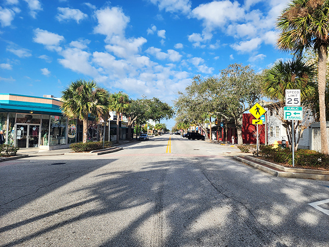 Palm trees cast dancing shadows across Melbourne's downtown thoroughfare, where history and modern life share the same sunny sidewalk.