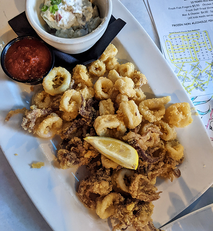 Golden-fried rings of tender calamari served with marinara and a creamy dipping sauce &ndash; seafood simplicity at its finest.