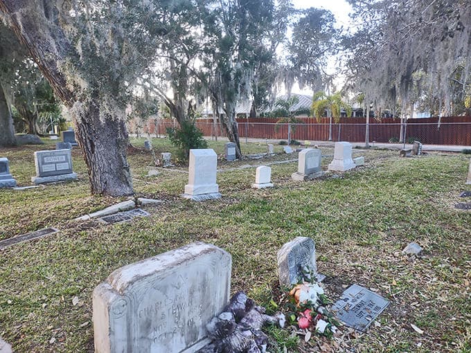 Family plots tell stories of generations who built this community, their names and dates creating a timeline you can walk through.