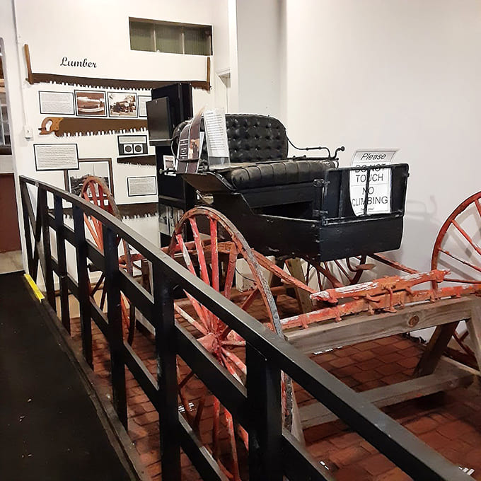 This elegant horse-drawn buggy represents the original ride-sharing service, minus the app and surge pricing headaches we know today.