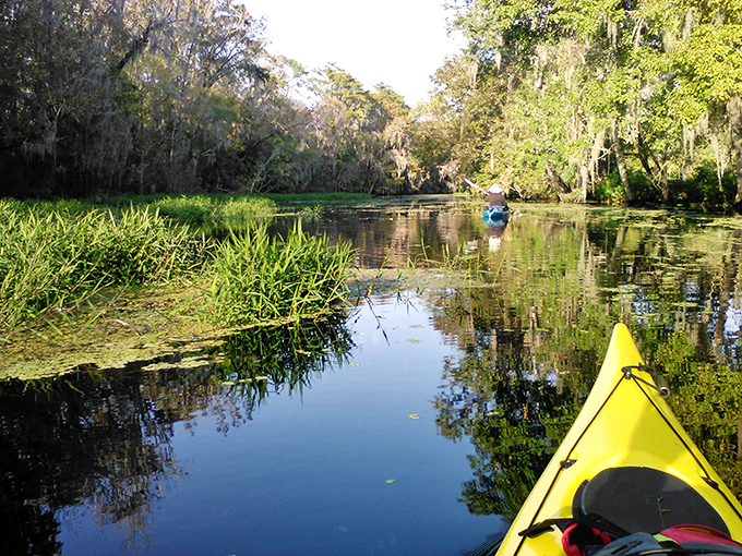 Gliding through mirror-like waters in a bright yellow kayak – nature's way of saying "slow down and see Florida differently."