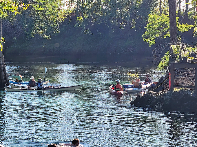 Kayakers glide through the gentle current where spring meets river, creating the world's most perfect natural lazy river experience.