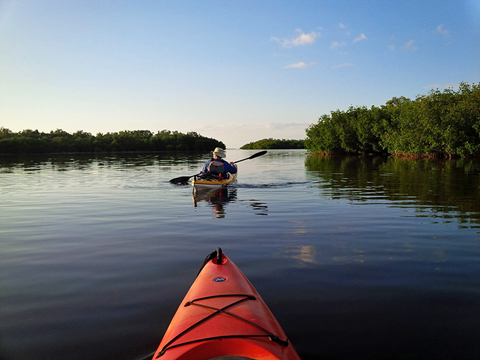 Nature's highway stretches before these kayakers, where rush hour means a family of herons might cross your path.