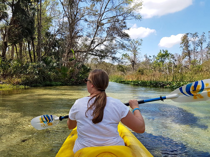 A peaceful kayaker glides through crystal waters, discovering Florida's natural side away from tourist crowds.