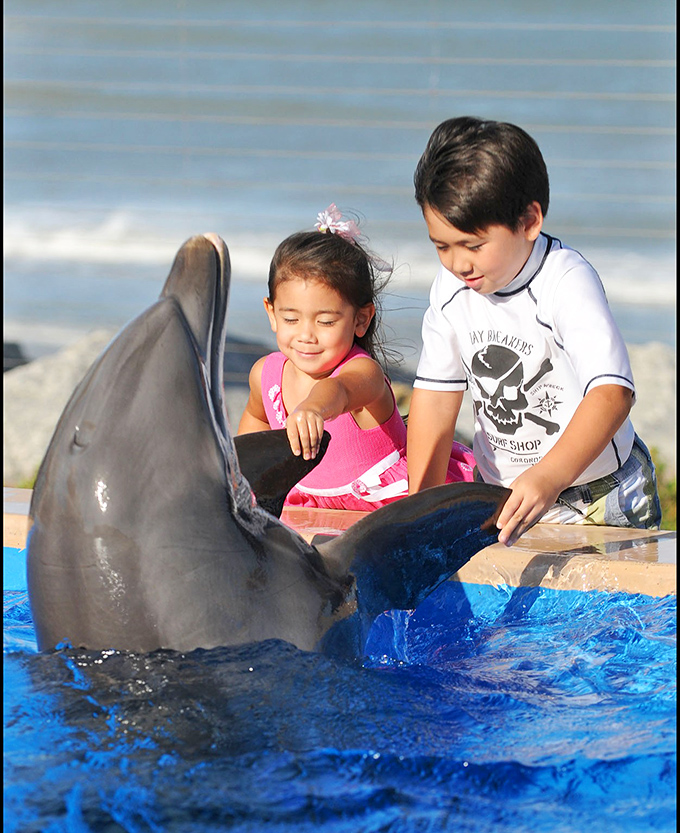 Children share a moment with a dolphin that's probably smarter than most humans they'll meet in school that year.