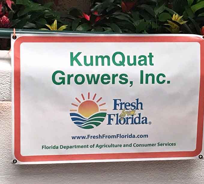 When your farm is certified Fresh From Florida, you wear that badge with pride, because these kumquats are as local as it gets.
