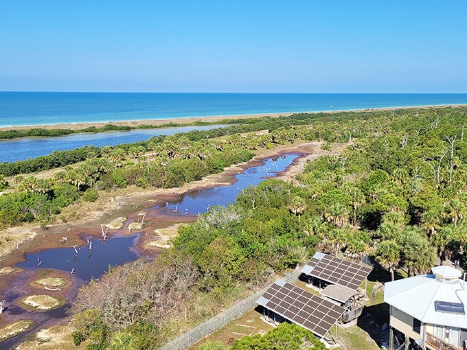Lighthouse Outlook: A bird's-eye view reveals the pristine paradise surrounding Anclote Key, where azure waters meet emerald wilderness.