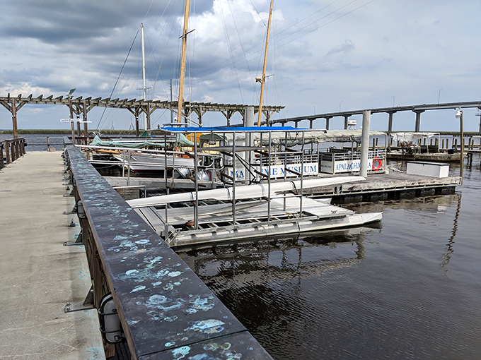 The museum's marina offers more than just pretty views &ndash; it's a launching point for adventures that connect visitors with Florida's coastal heritage.