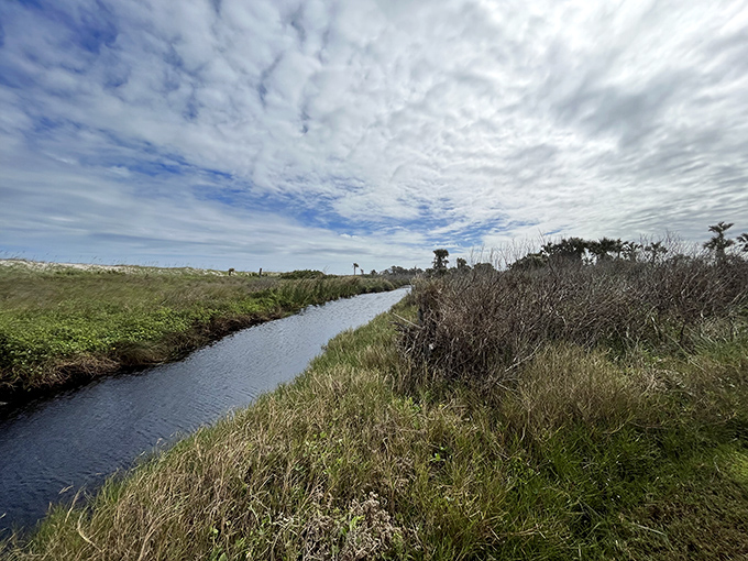 This serene waterway meanders through marshland, offering a peaceful contrast to the Atlantic's dramatic performance.