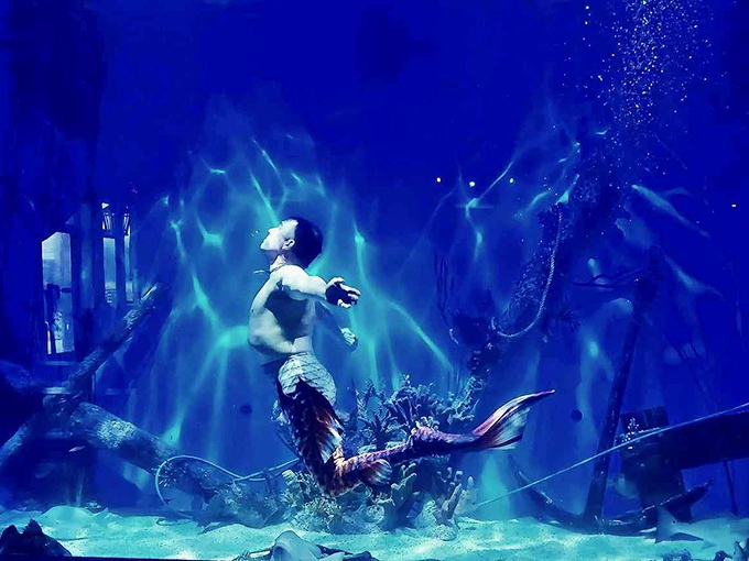 Not your average job description: "Must look majestic while holding breath, pointing dramatically, and rocking fabulous scales."