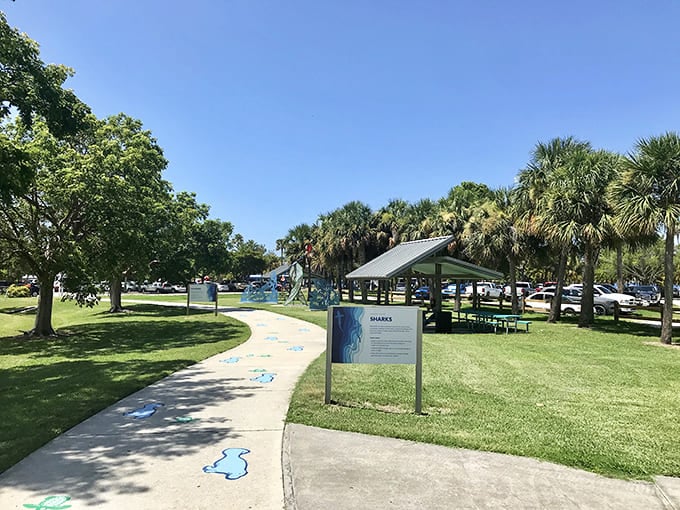 The outdoor grounds offer palm-shaded spots perfect for processing everything you've learned about marine life inside.