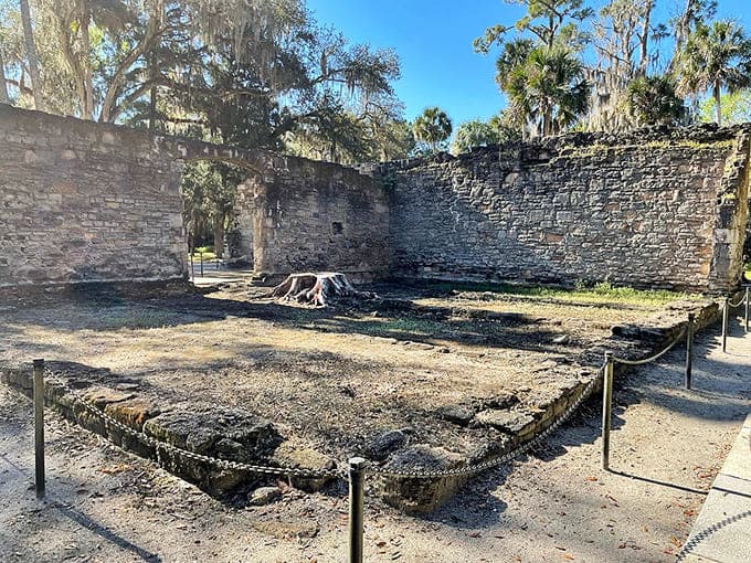 Nature reclaims its territory slowly but surely, with trees growing through floors where workers once toiled in sweltering heat.
